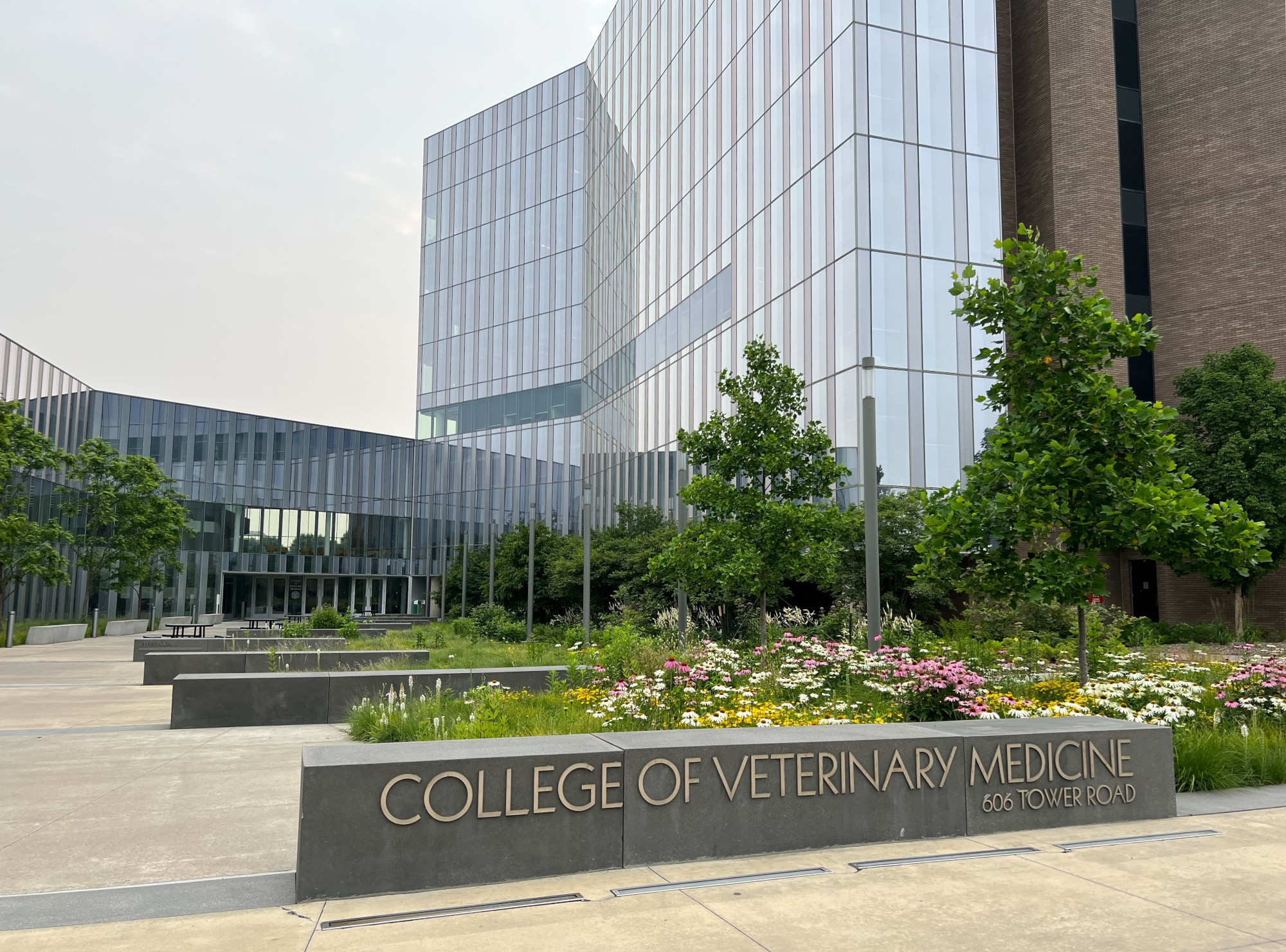 College publishes strategic plan 2023-2027 | Cornell University College of Veterinary Medicine